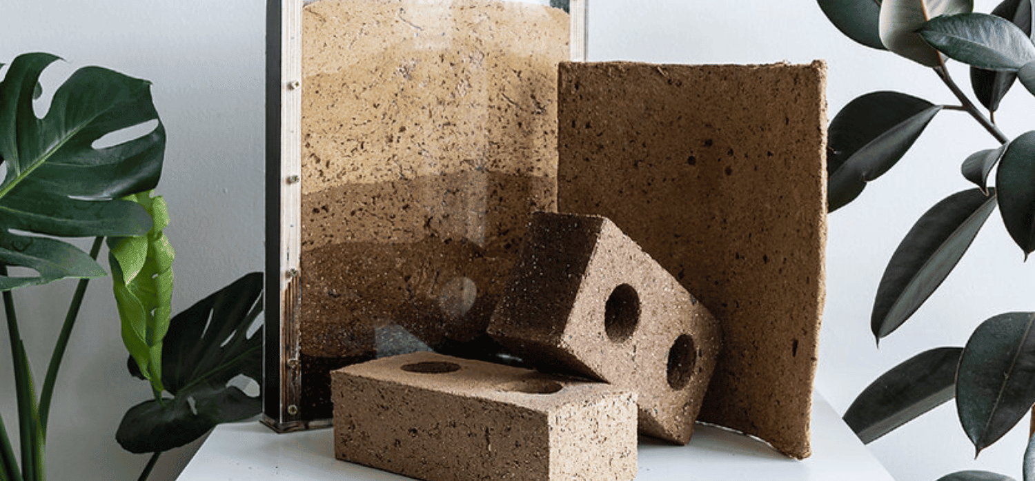 Building your dream home with seaweed - Springwise