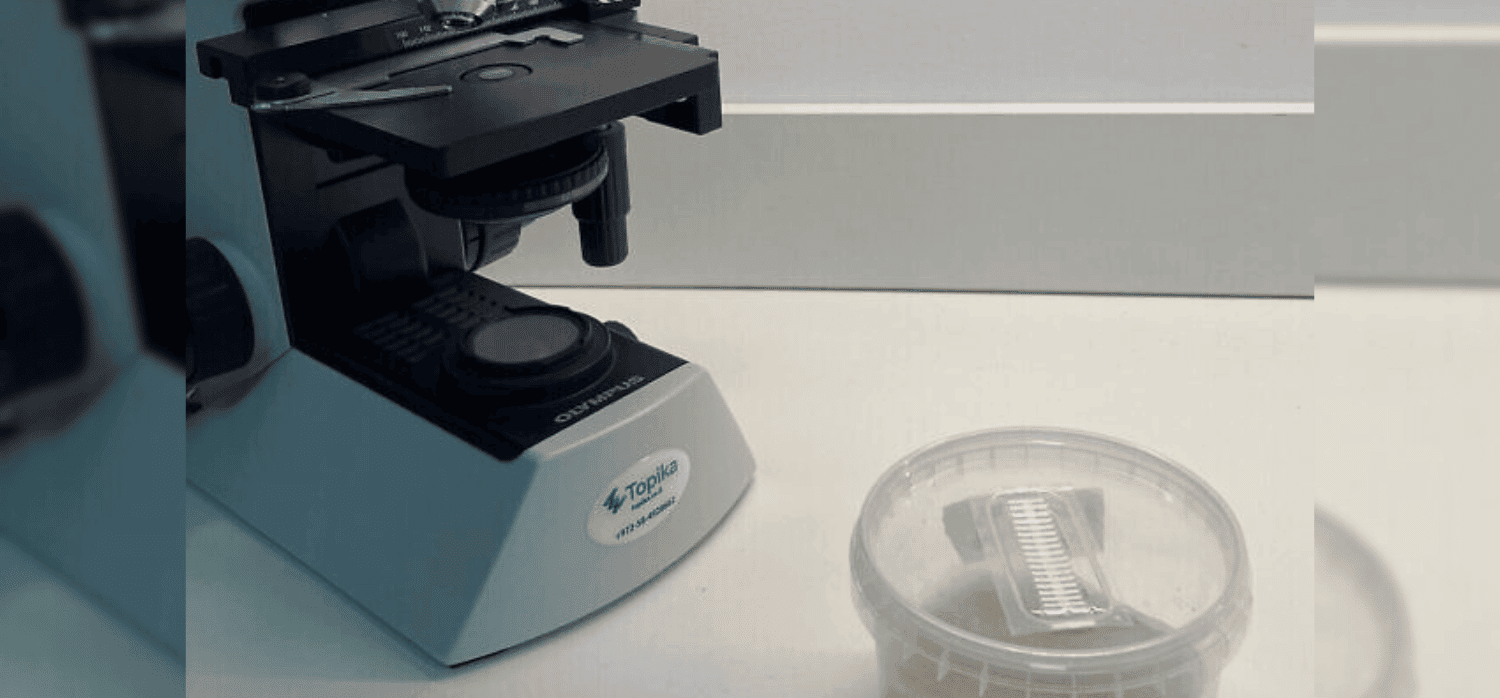 Creating sustainable packaging with fungi - Springwise