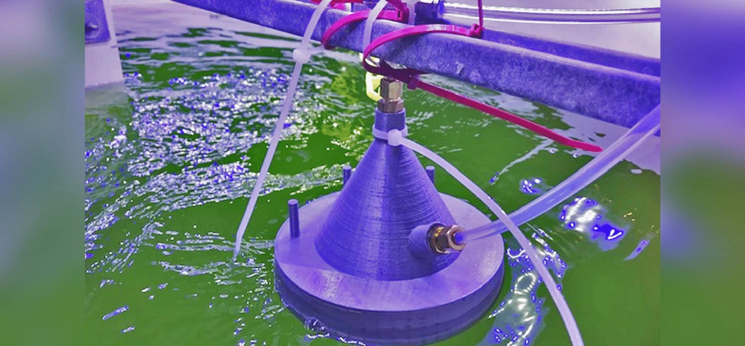 Technology can save algae crops - Springwise