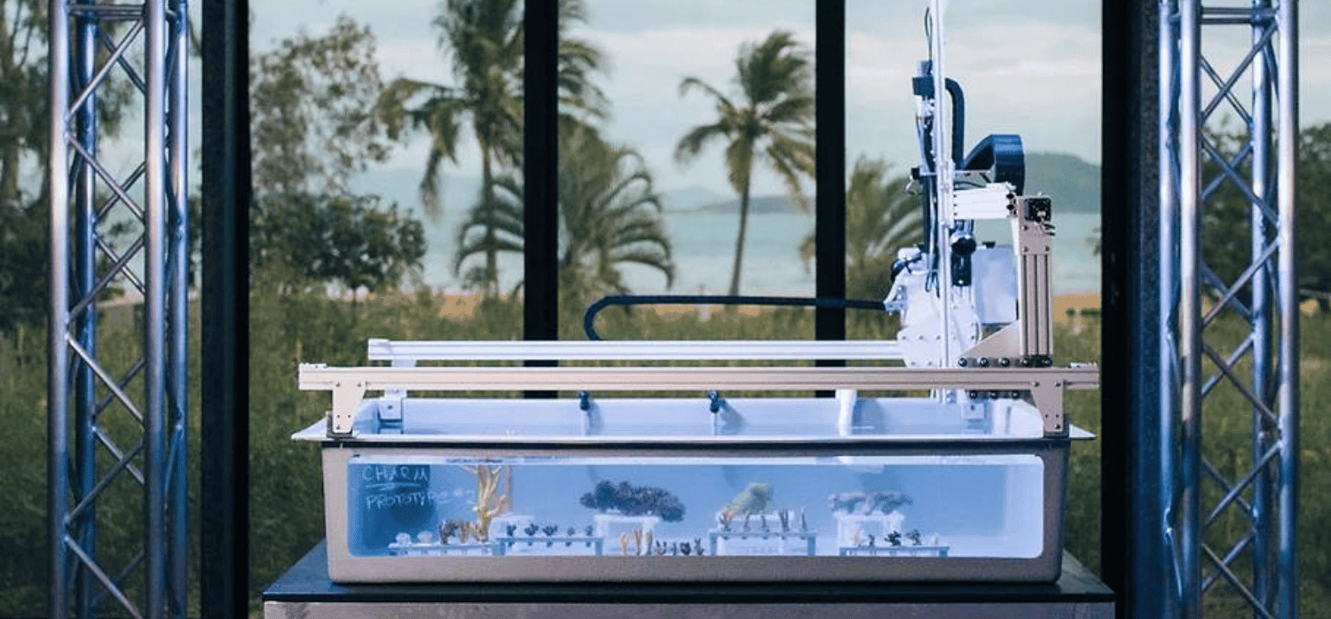 Could robotics and the personal touch restore rare reefs? - Springwise