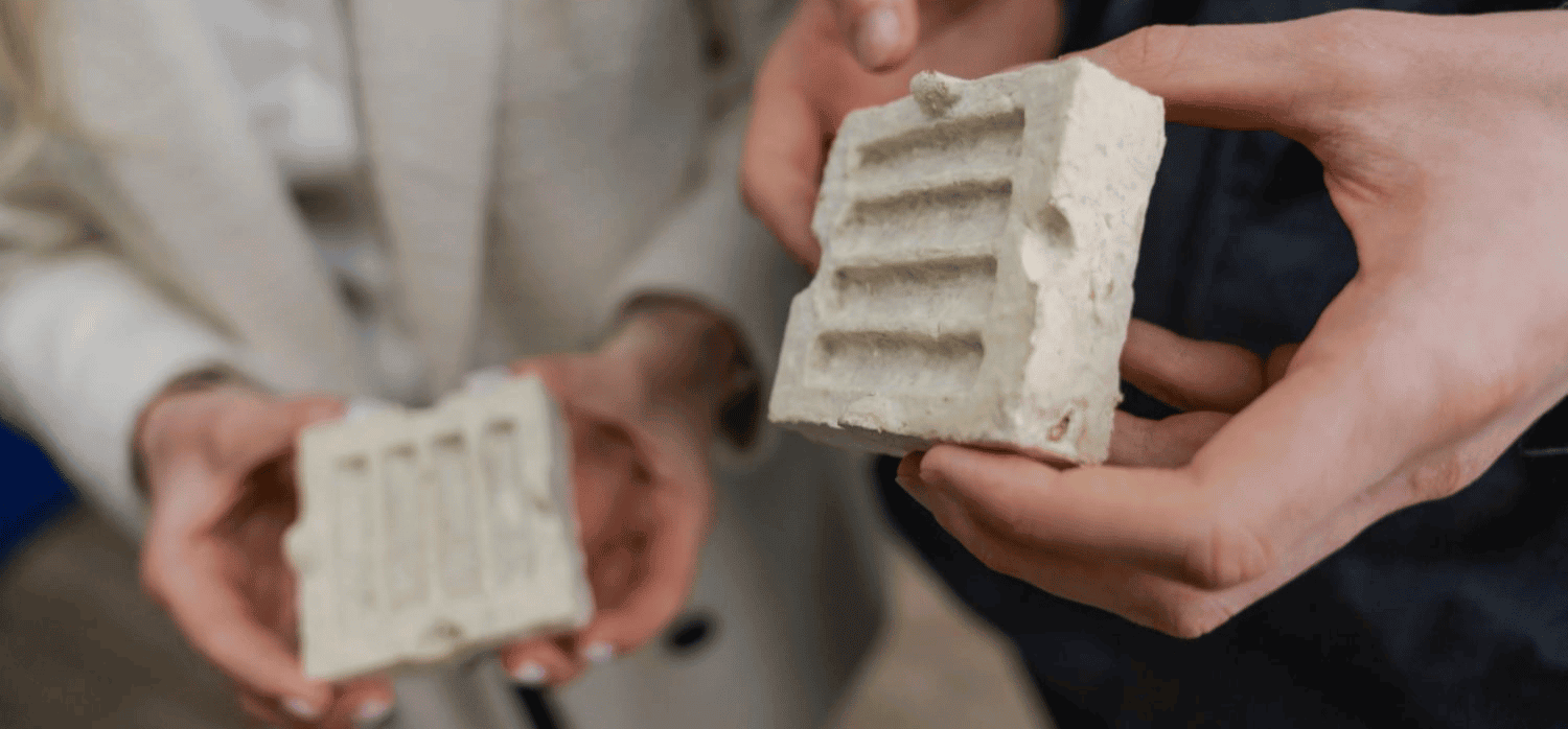 Could a mushroom material be the future of packaging? - Springwise