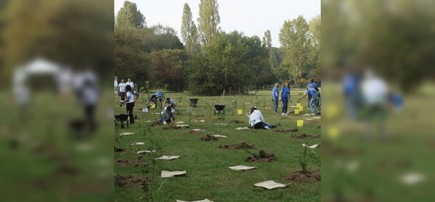 Forest project in Milan aims to plant one tree for every inhabitant ...