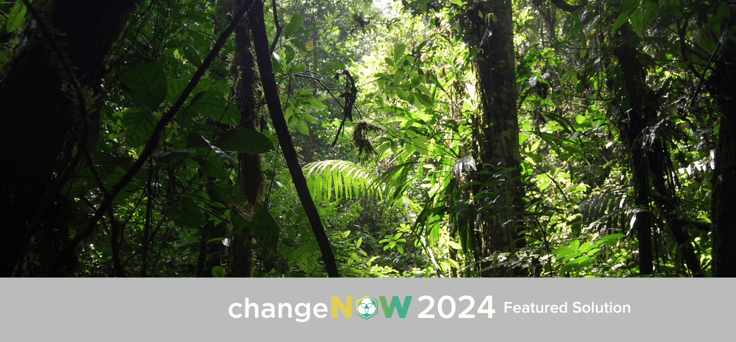 Buying up threatened land to protect forests - Springwise