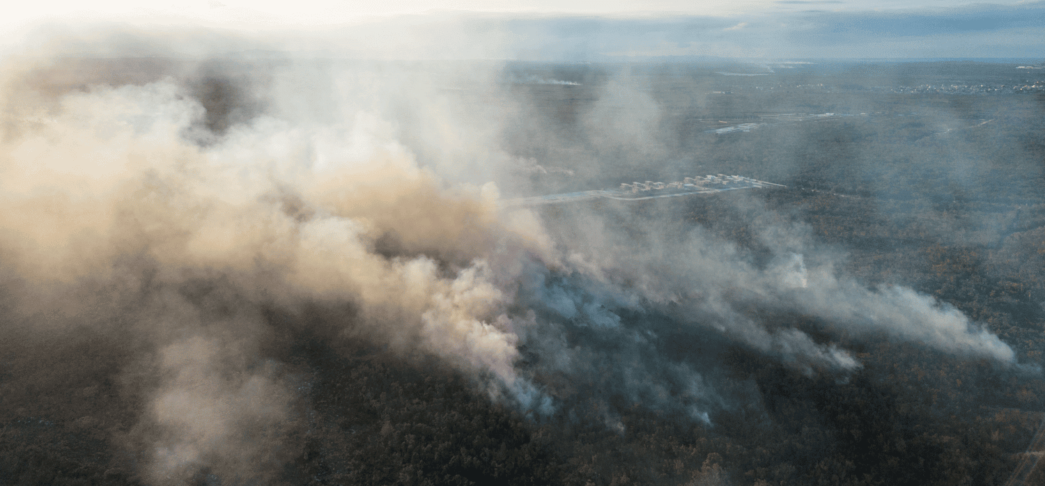 How can satellites prevent wildfires? - Springwise