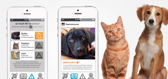 Facial recognition for dogs reunites lost pets with owners - Springwise