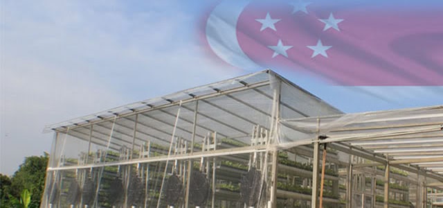 World's first low-water, low-energy vertical farm opens in Singapore ...