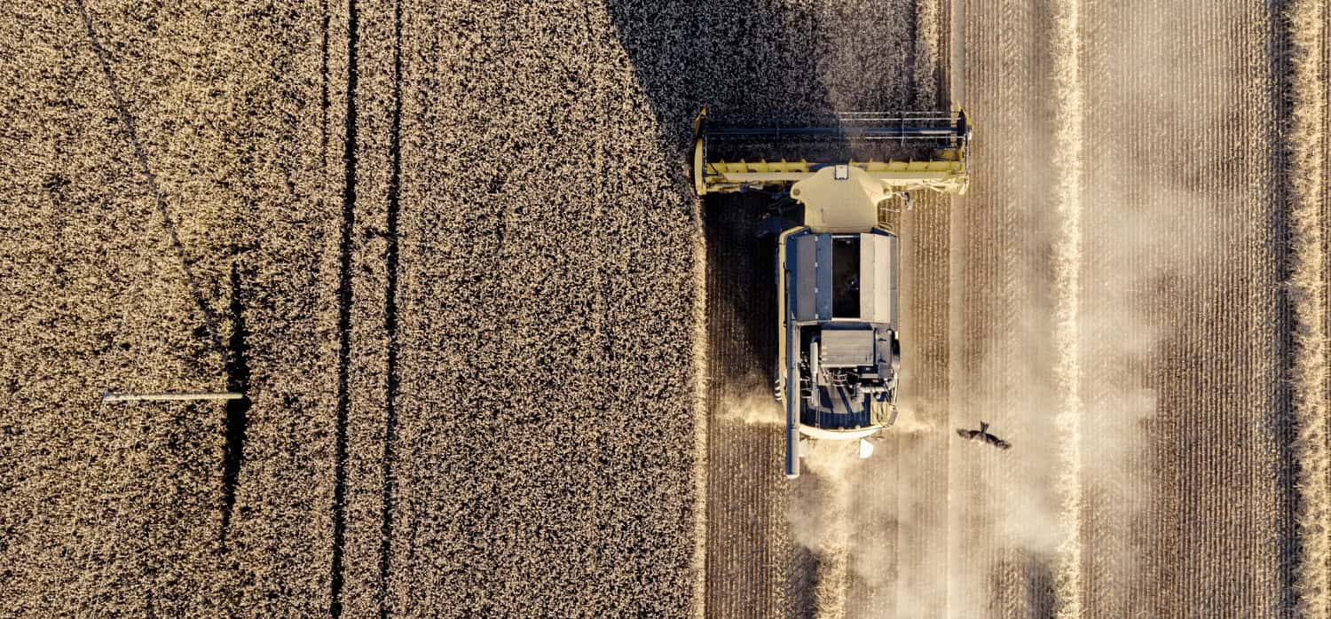 Planting crops in grid pattern improves yields and aides environment ...
