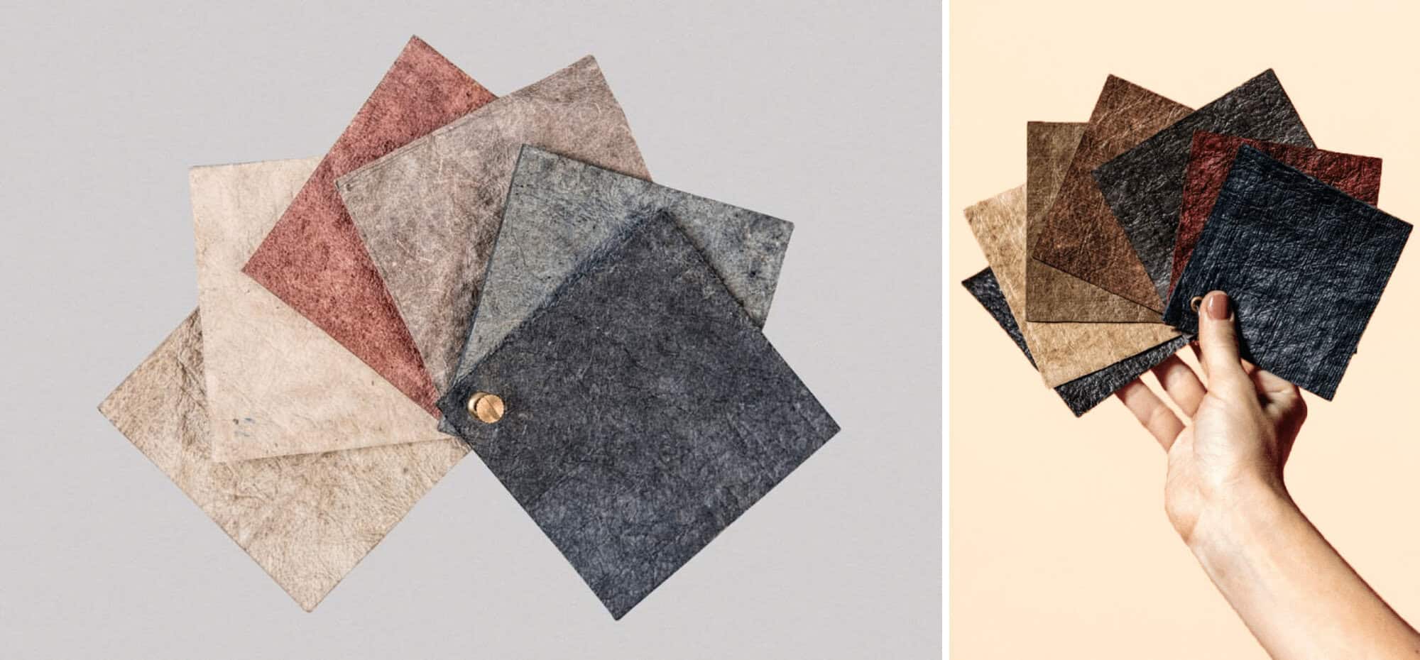 Startup develops compostable vegan leather from discarded coconut water ...