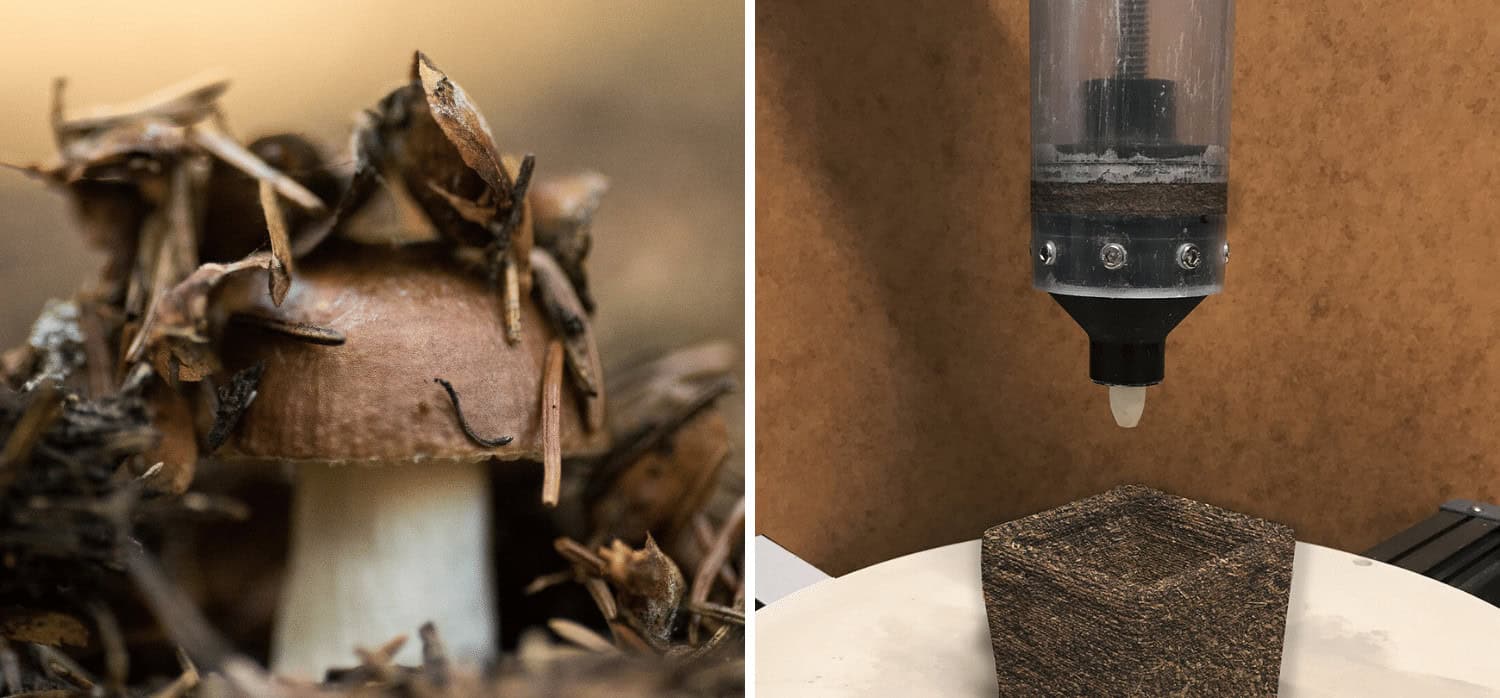 An eco-friendly sound absorber made from fungus - Springwise